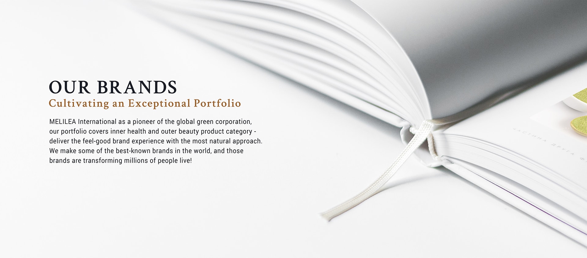 Our Brands – MELILEA Vietnam